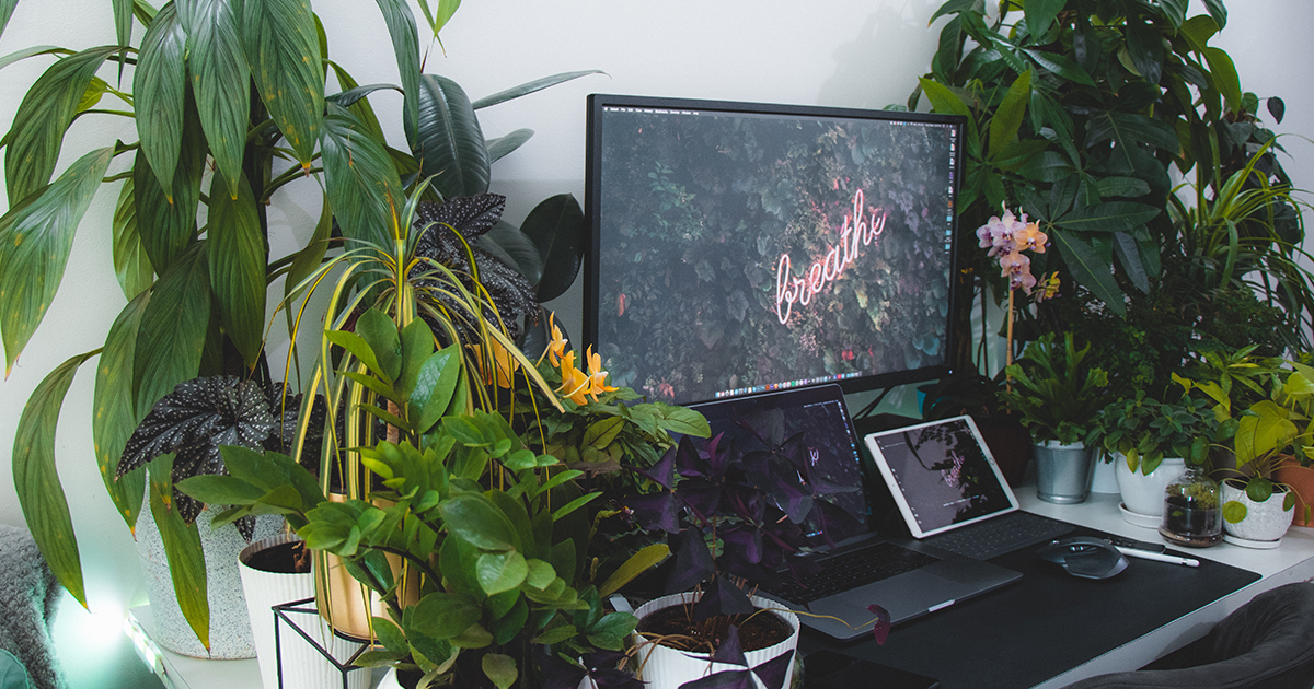 From Canvas to Screen: A Guide to Painting, Drawing, and Digital Art ...