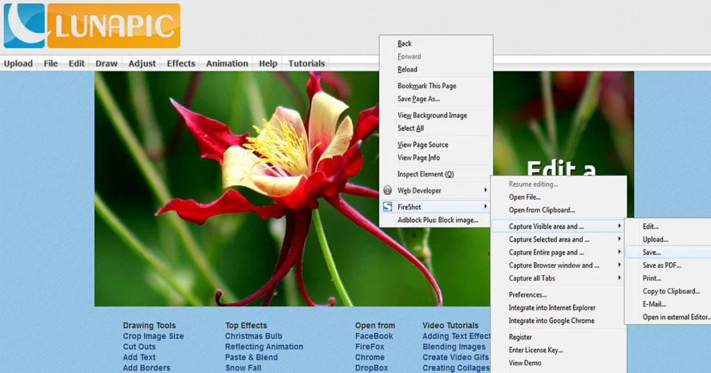 The Best Free Photoshop Alternatives Every Designer Should Know