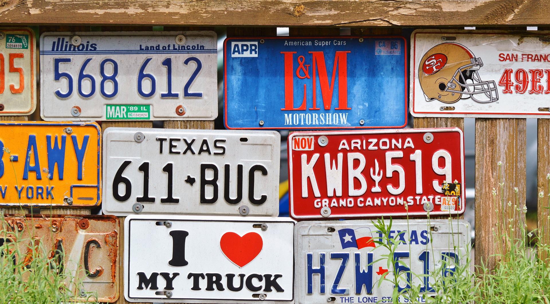 License Plates | Artist Shot